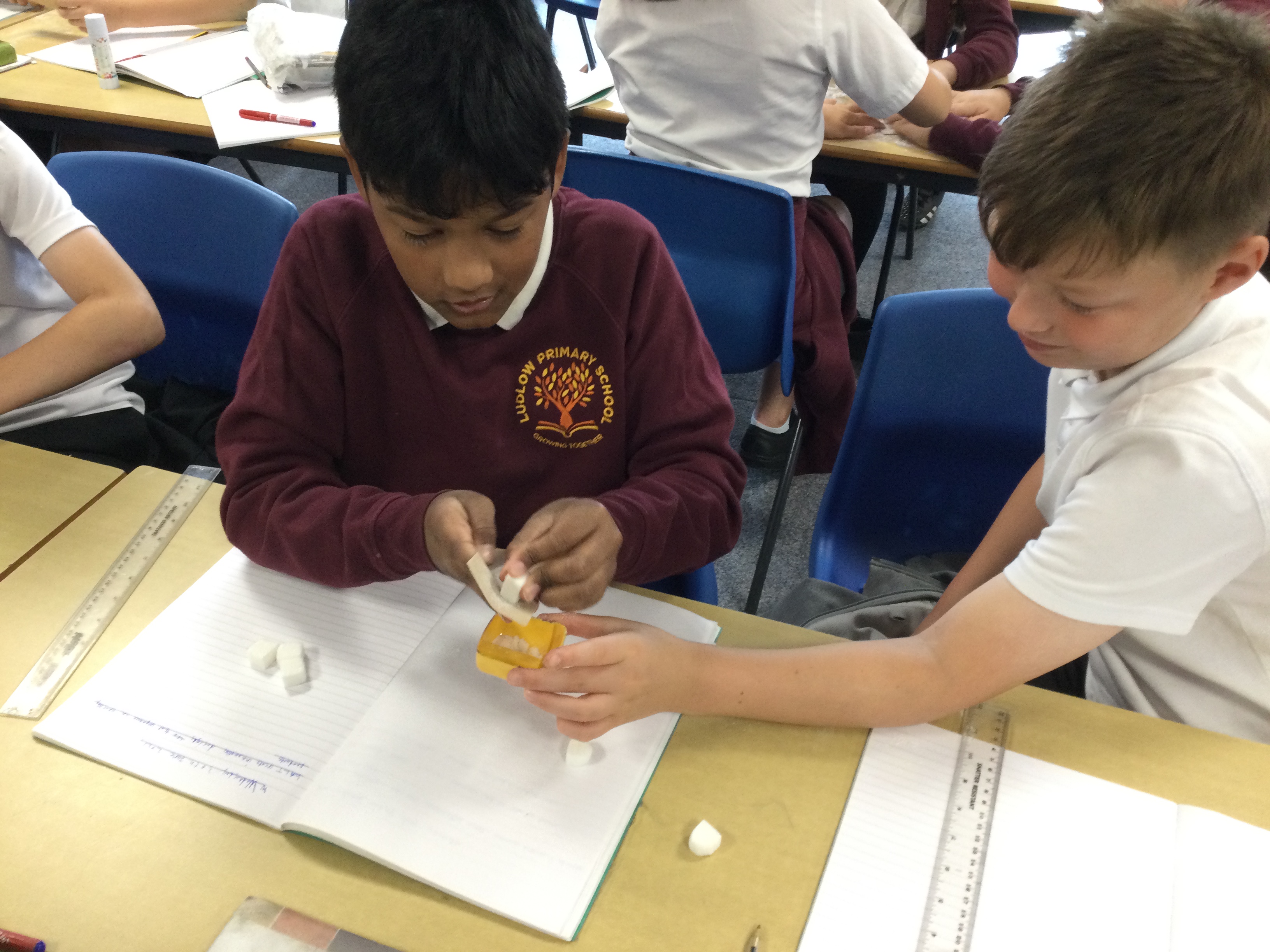 Photos of Design and Technology | Ludlow Primary School